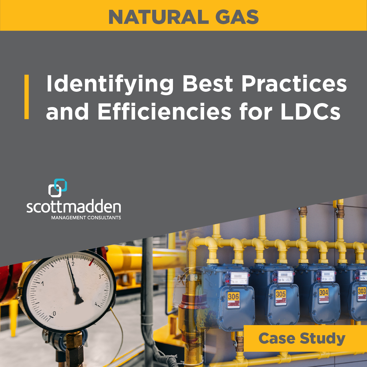 Identifying Best Practices and Efficiencies for LDCs - ScottMadden